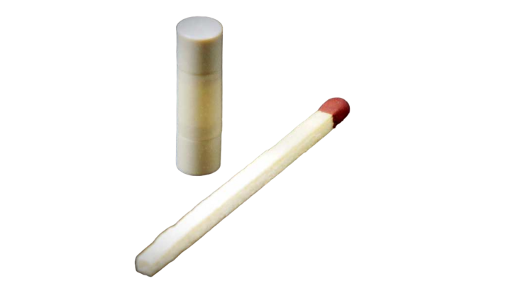 Micro-CT Mouse Phantom | A PTW Company