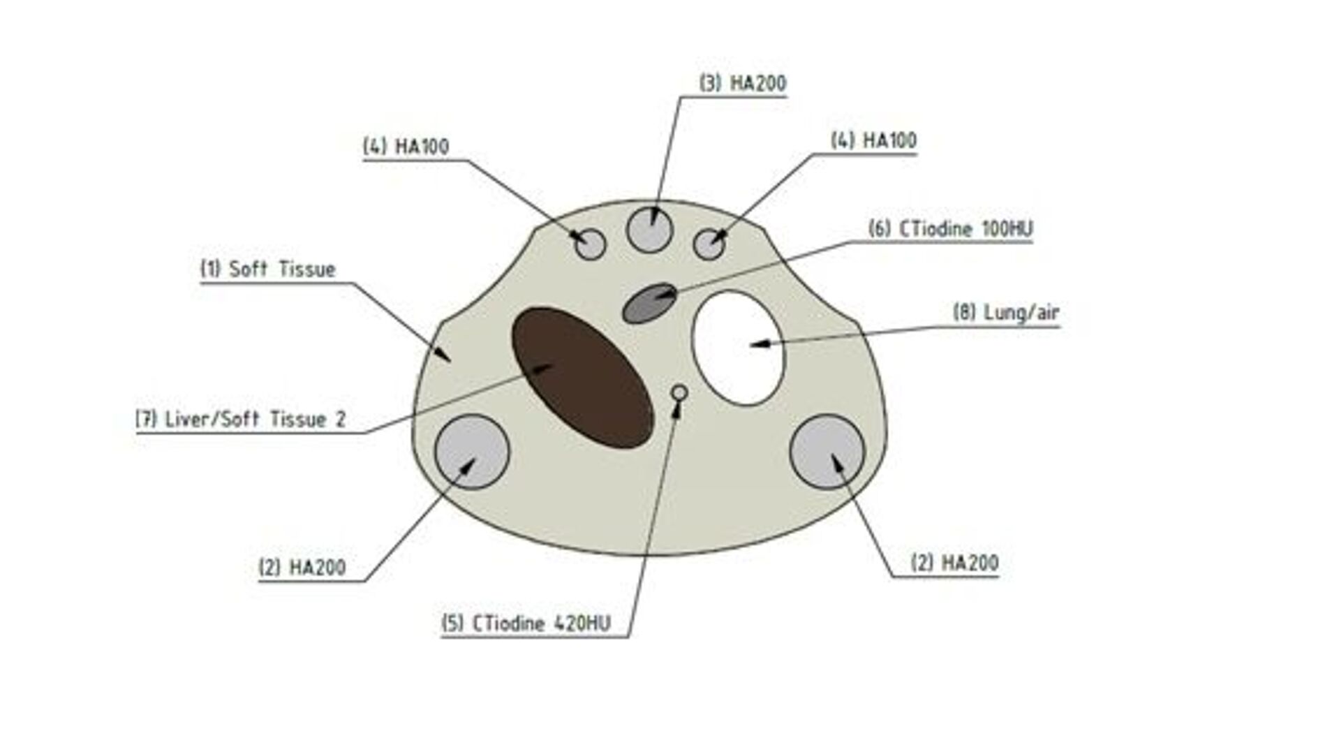 Micro-CT Mouse Phantom | A PTW Company
